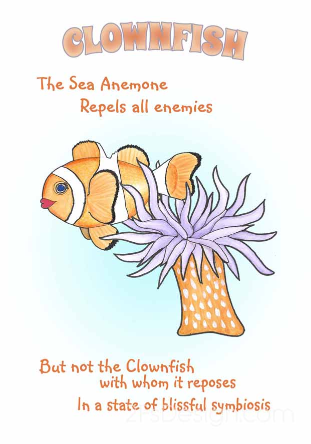 Fish 'n' Quips Range - 2Fs Design